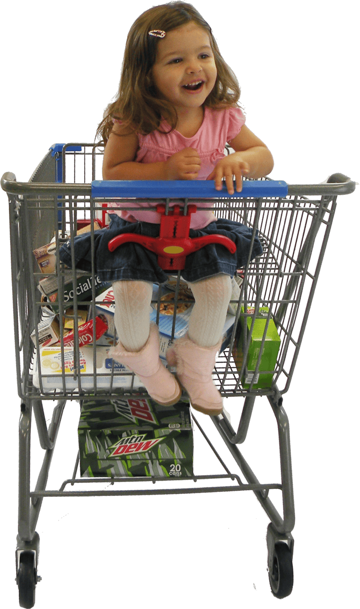 Fall Stop - Safe Strap